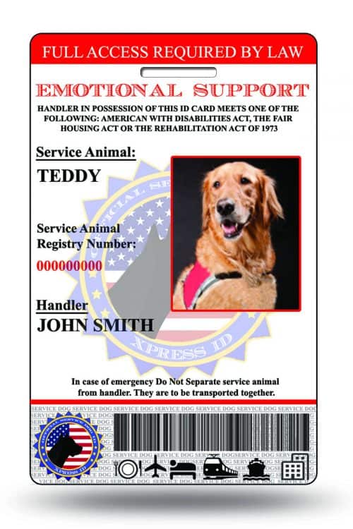 Emotional Support Animal ID Card Free Access To Animal Registry