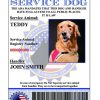 Service Dog Info Cards-50 ADA Service Dog - Service Animal Badge